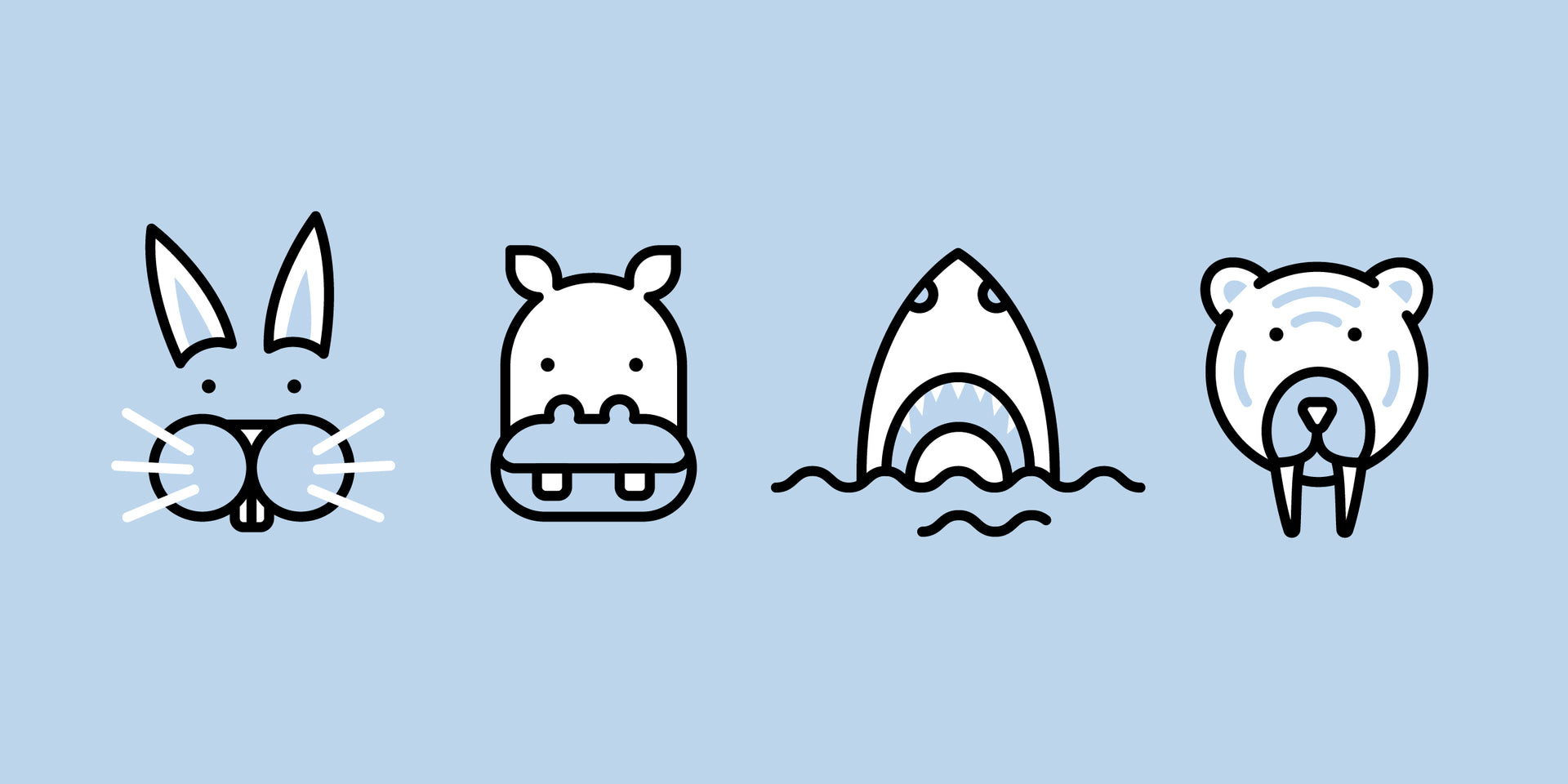 Blog | The Wild World of Animal Teeth