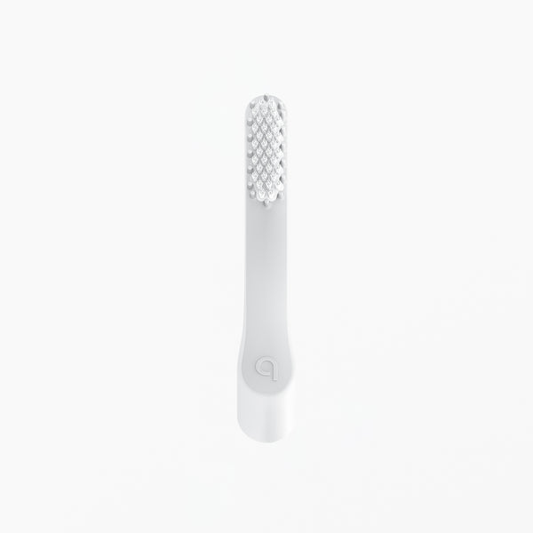 quip | All Brush Heads