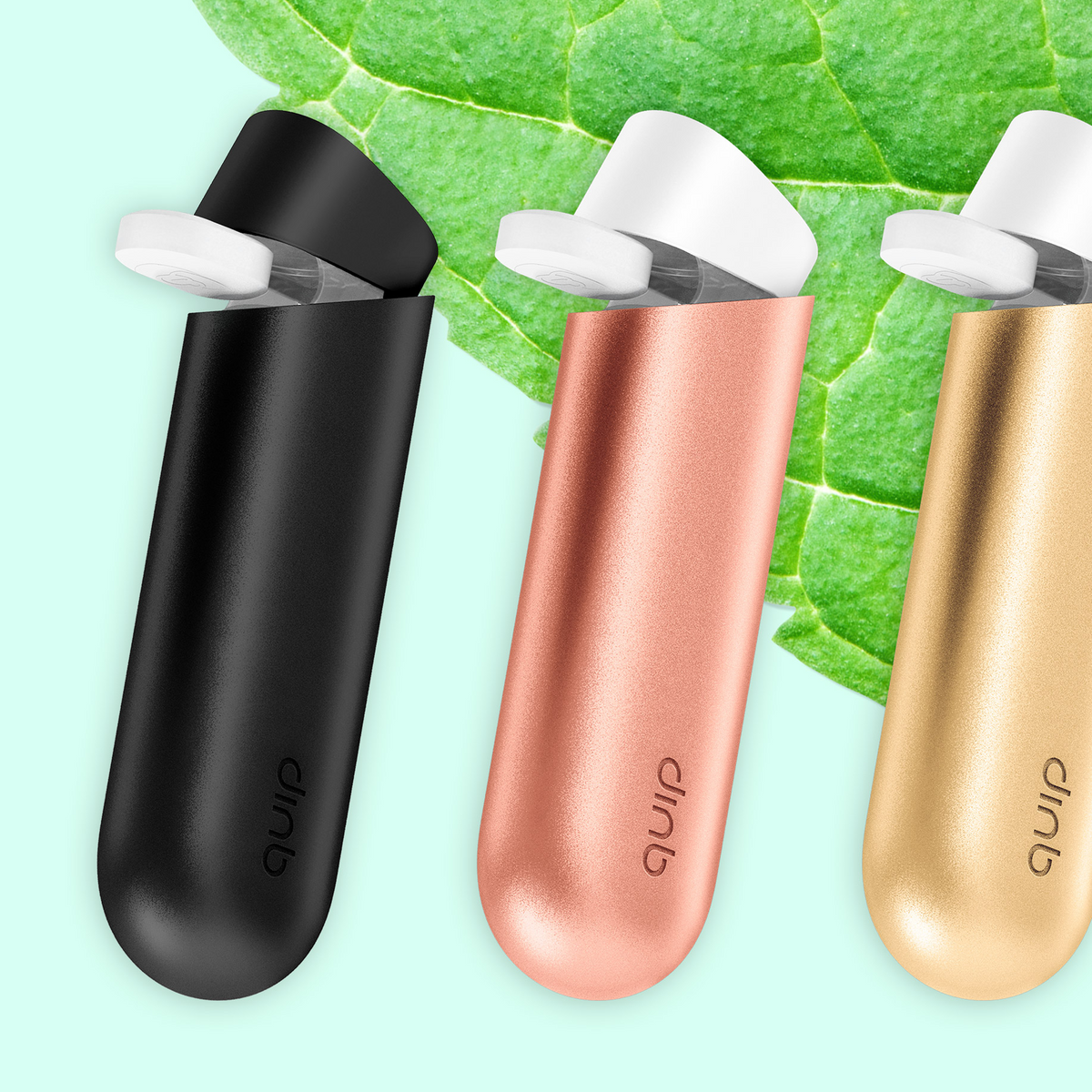 quip Mints | Vitamin-D, sugar-free, zinc for fresh breath