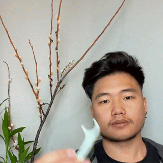 The best top-rated Portable Cordless Water Flosser